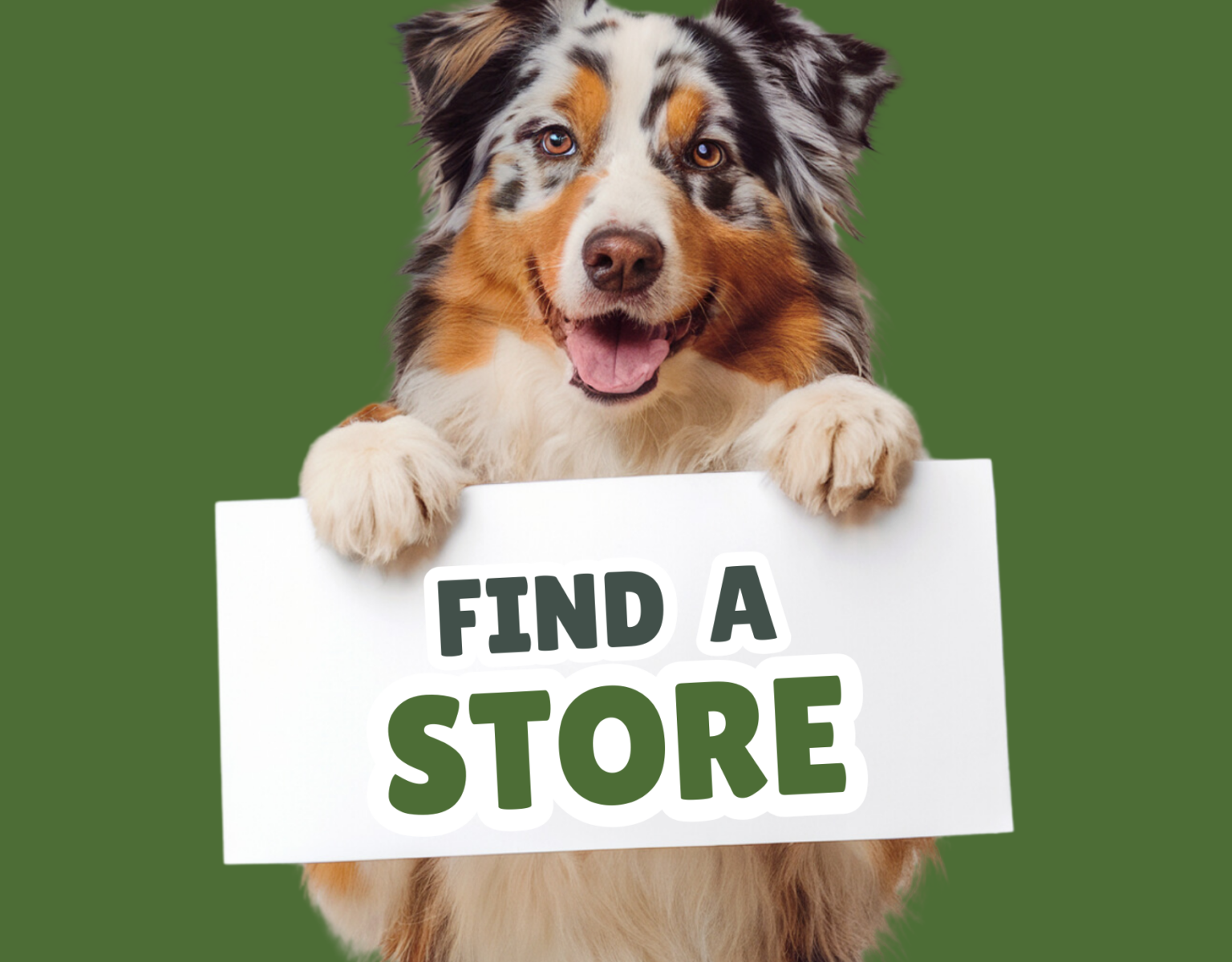Holistic Pet Supply Store & Grooming Services - EarthWise Pet